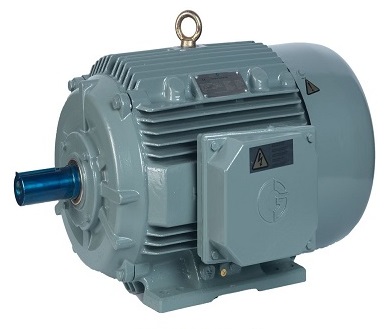 TEFC Motors|CG Motors - Your Partner for Industrial Motor Solutions ...
